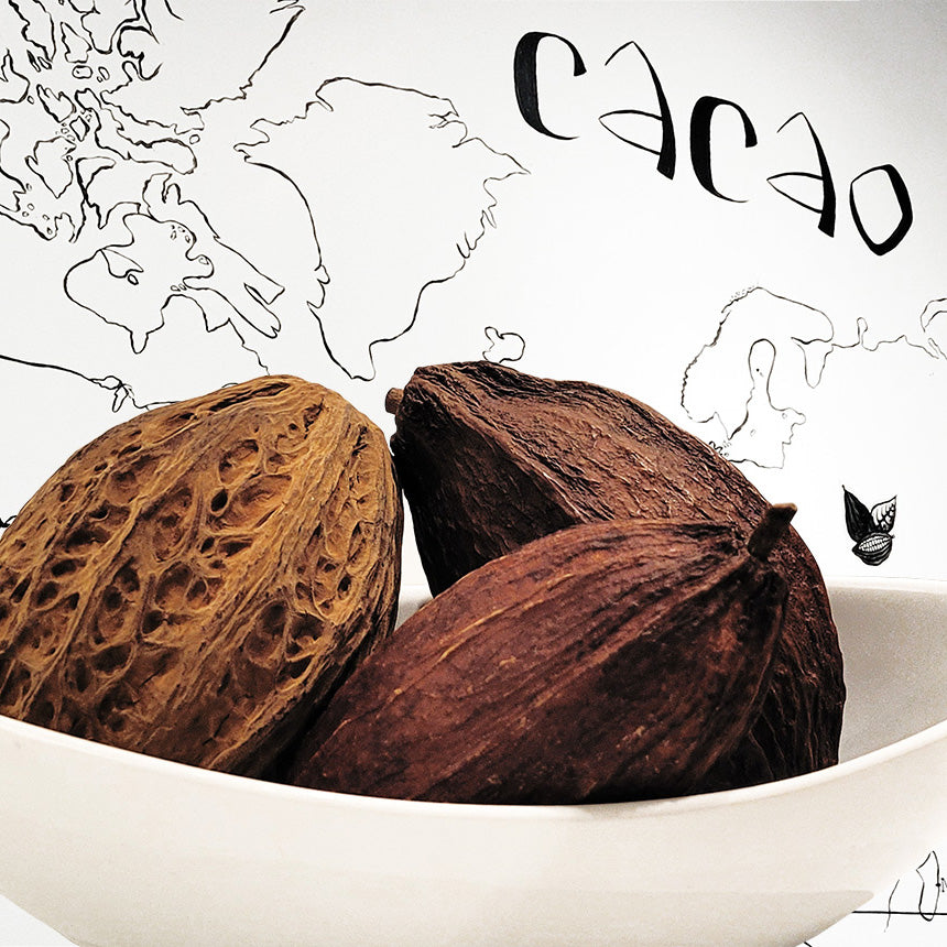 About - JoJo CoCo Chocolate